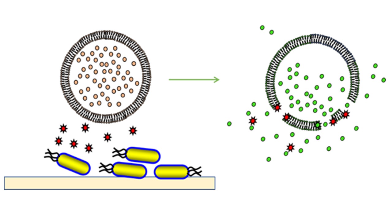 SmartWound Predict - SmartWound Ltd