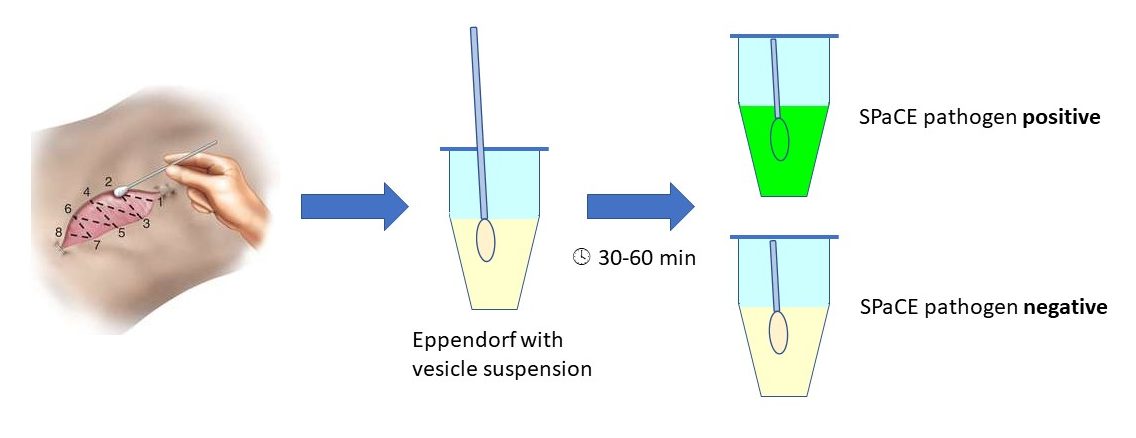 SmartWound Resolve - SmartWound Ltd